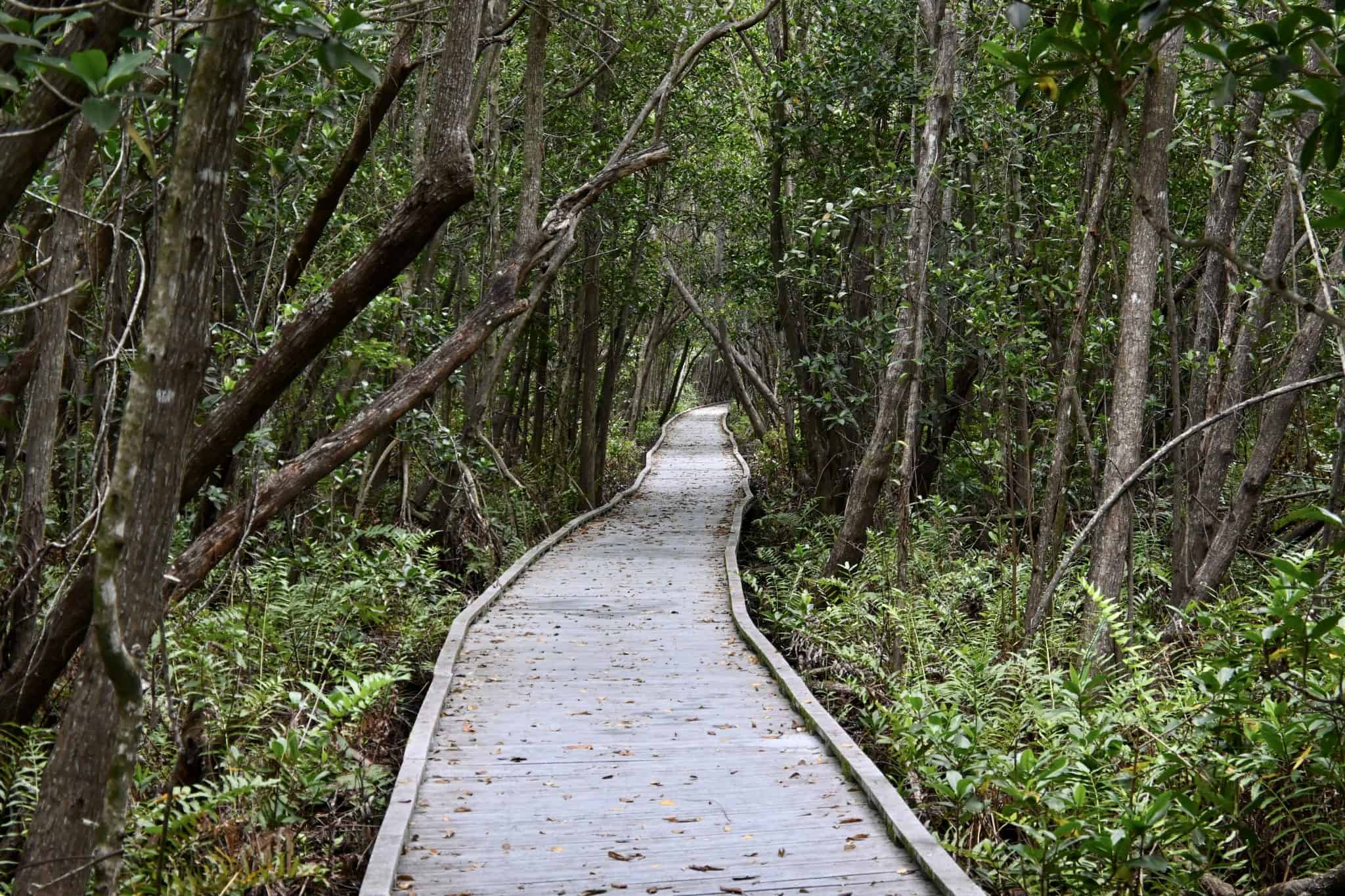 Public Parks in Cape Coral - Welcome to Cape Coral, FL