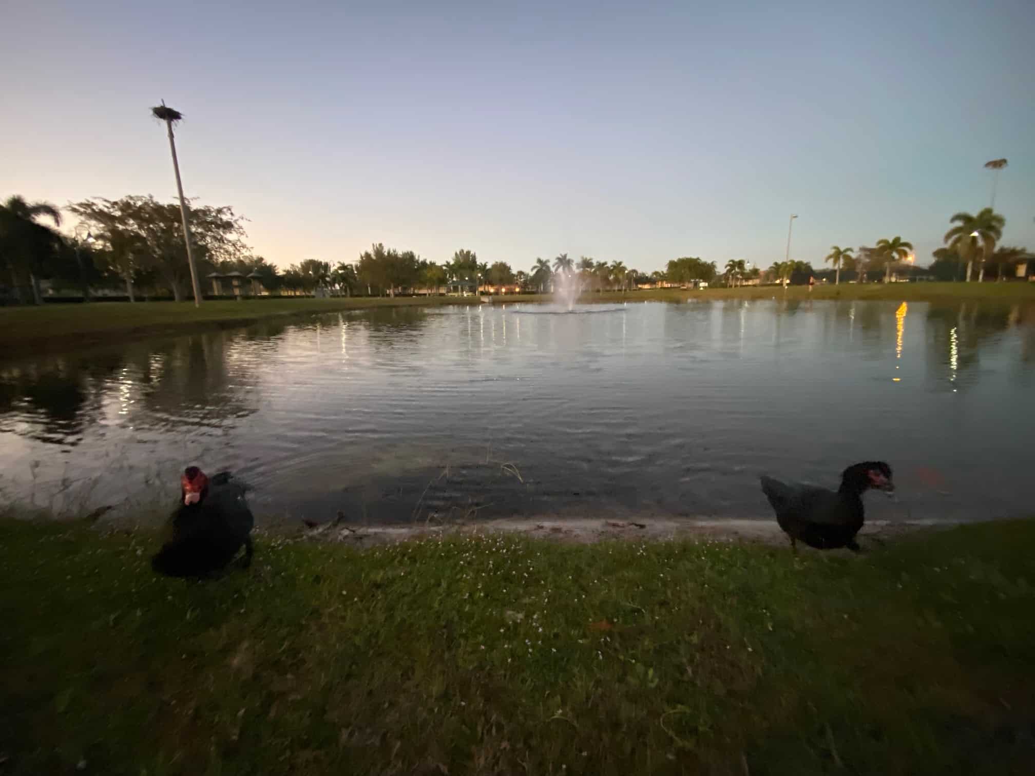 Joe Stonis Park - Welcome to Cape Coral, FL